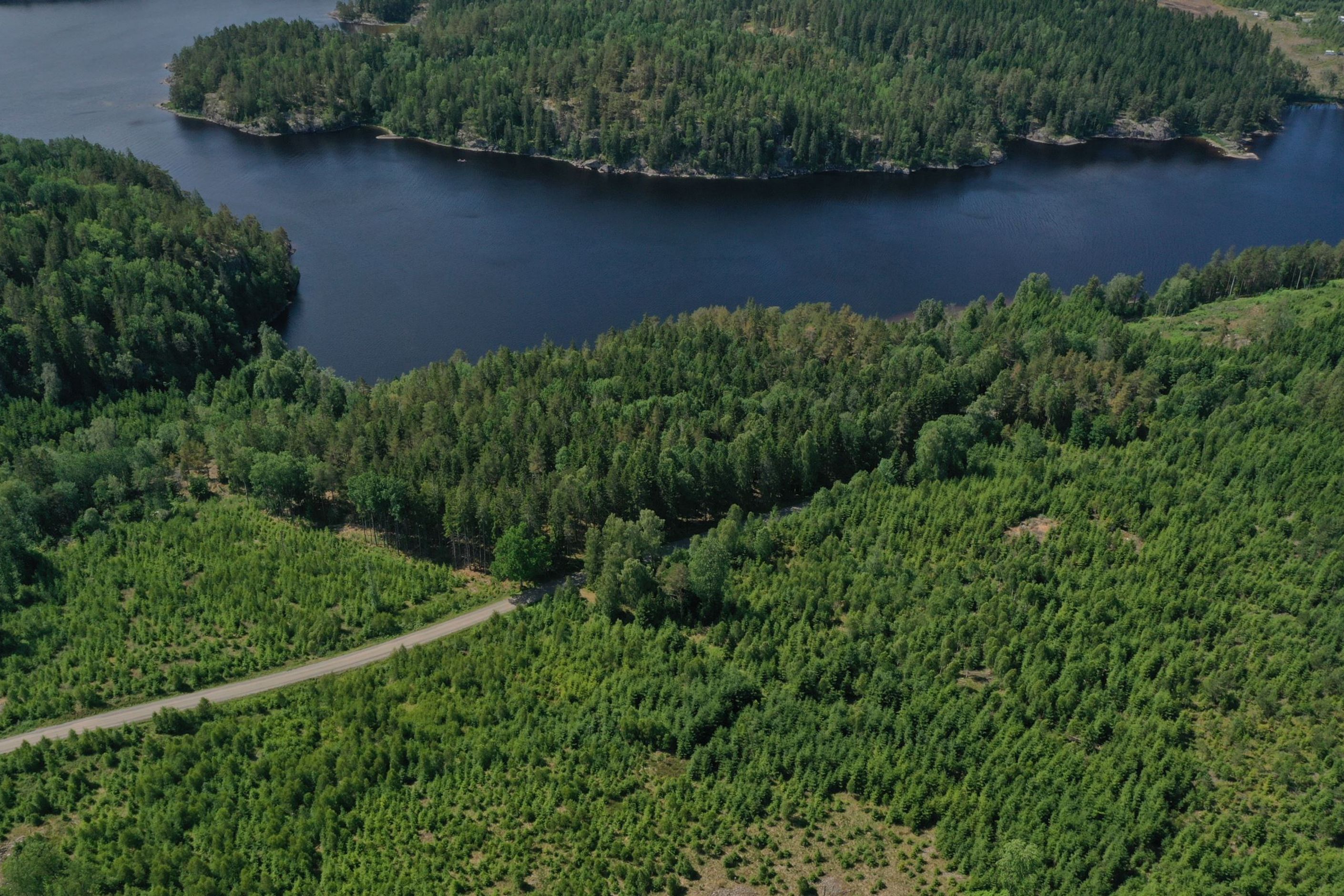 Skogsmark, Ällien 1:6 - Bullaren, Bullaren - HusmanHagberg